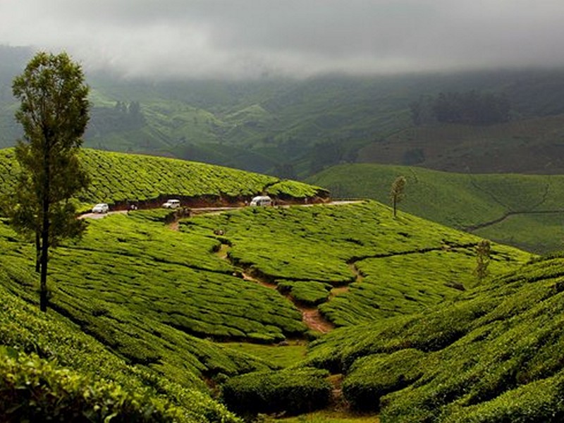 MUNNAR – indianimpressions